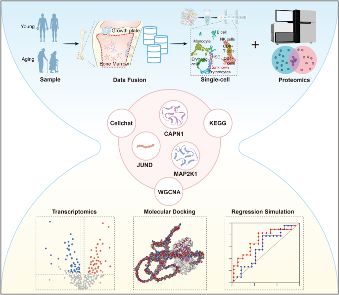Integrated single-cell multi-omics profiling reveals a senescence ...