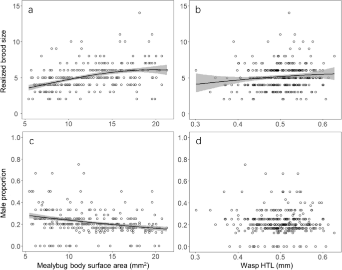 Effects of mealybug and female body sizes on host examination and ...