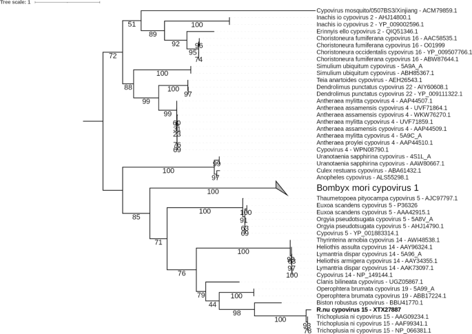 Characterization of a cypovirus isolate in Noctuoidea pests: host range ...