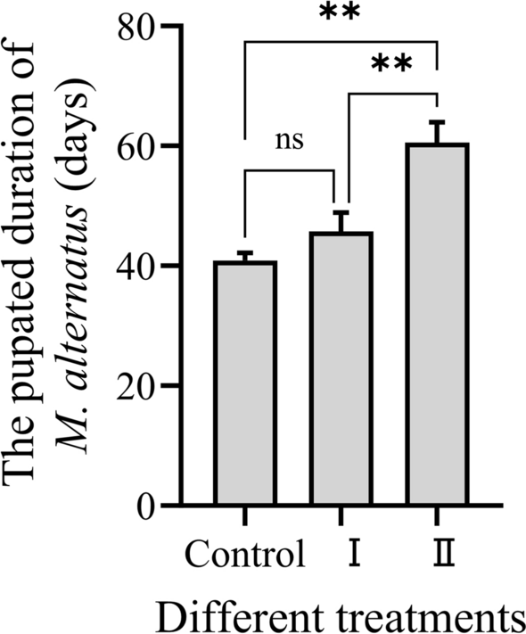 Non-contact effects of the parasitoid Sclerodermus guani on its two ...