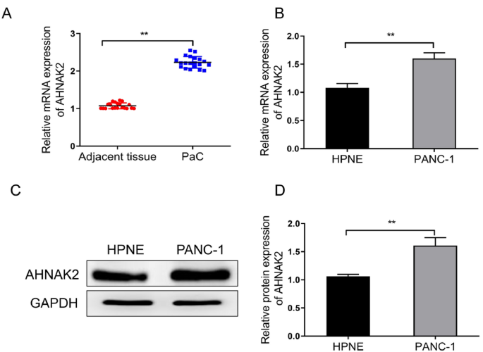 Normal Pancreatic Enzyme Levels