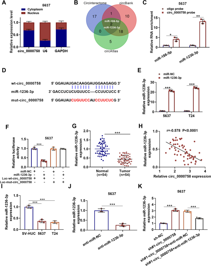 Circ_0000758 Facilitates Bladder Cancer Cell Growth, Migration and ...