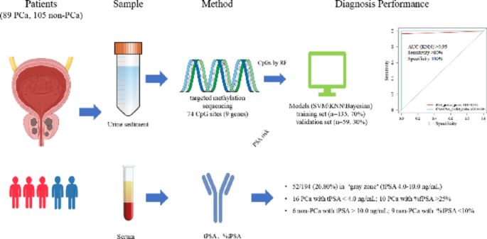Urinary DNA Methylation Profiling Improves Discrimination of Prostate ...