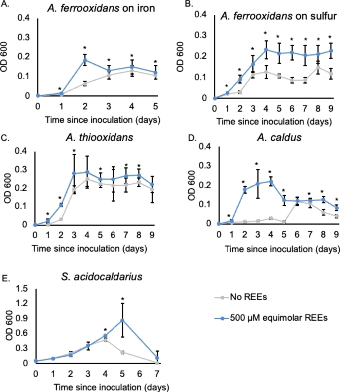 Extremophilic microbes tolerate high concentrations of rare earth ...