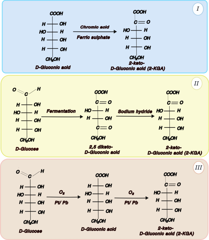 Biotechnological production of 2-keto-D-gluconic acid (2-KGA): from ...