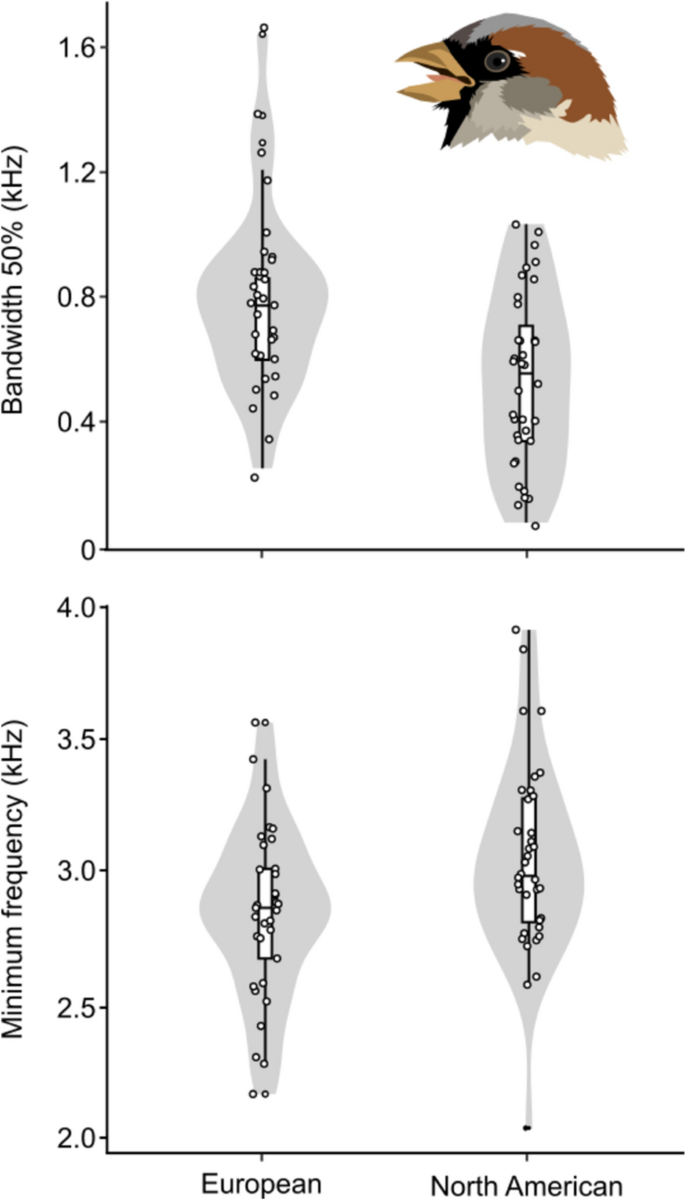 Chirping across continents: variation in urban house sparrow (Passer ...