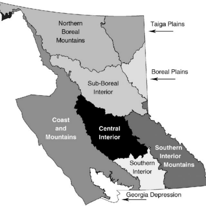 Invasive species on British Columbia’s grasslands: estimating the ...