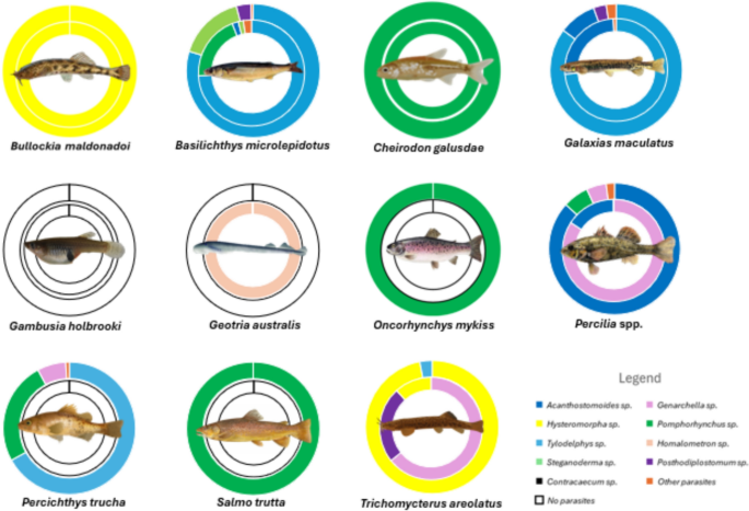 Influence of invasive fish species on host-parasite interactions in ...
