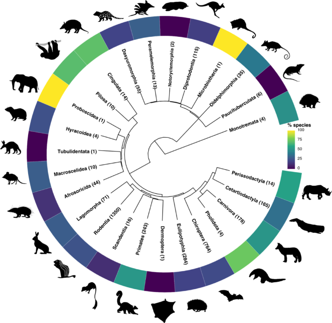 Taxonomic bias towards charismatic and easy-to-find mammals shapes ...
