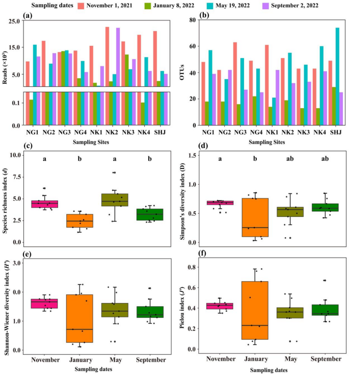 DNA metabarcoding reveals the importance of seaweed beds in the ...