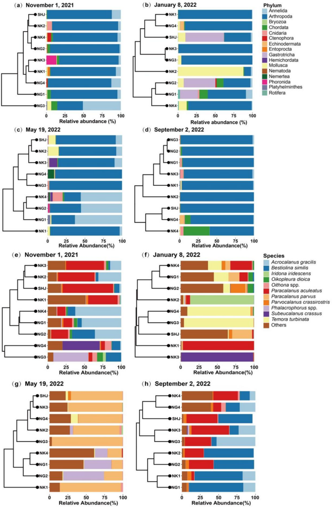 DNA metabarcoding reveals the importance of seaweed beds in the ...