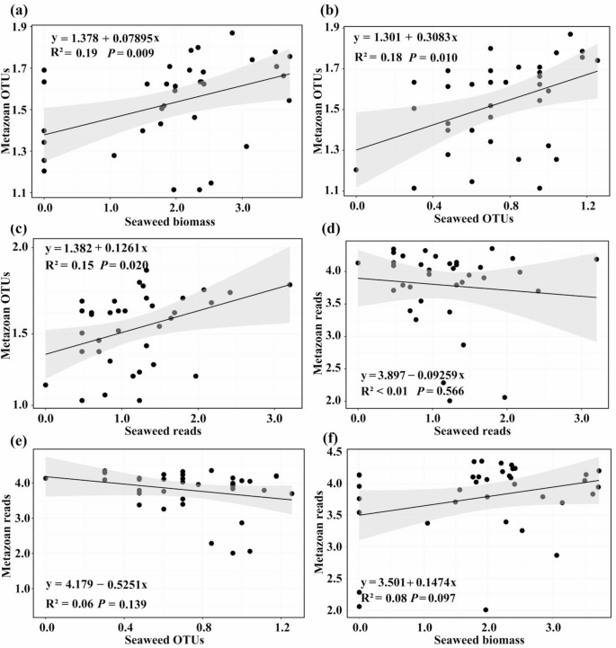 DNA metabarcoding reveals the importance of seaweed beds in the ...