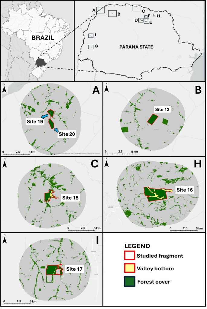 Landscape composition and configuration drive bird richness, abundance ...