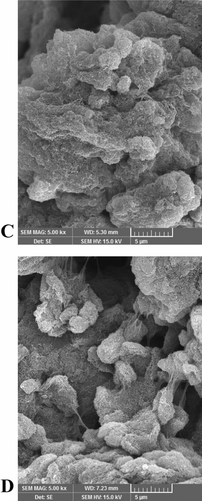 Sustainable kitchen wastewater treatment with electricity generation ...