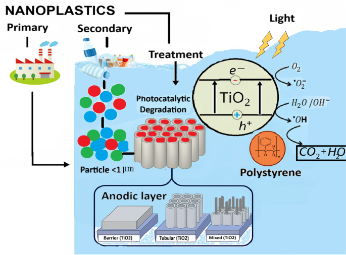 Frontiers in plastic biodegradation: unraveling the mechanisms and ...
