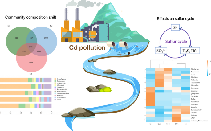 Exploring the long-term impact of a cadmium pollution accident on ...