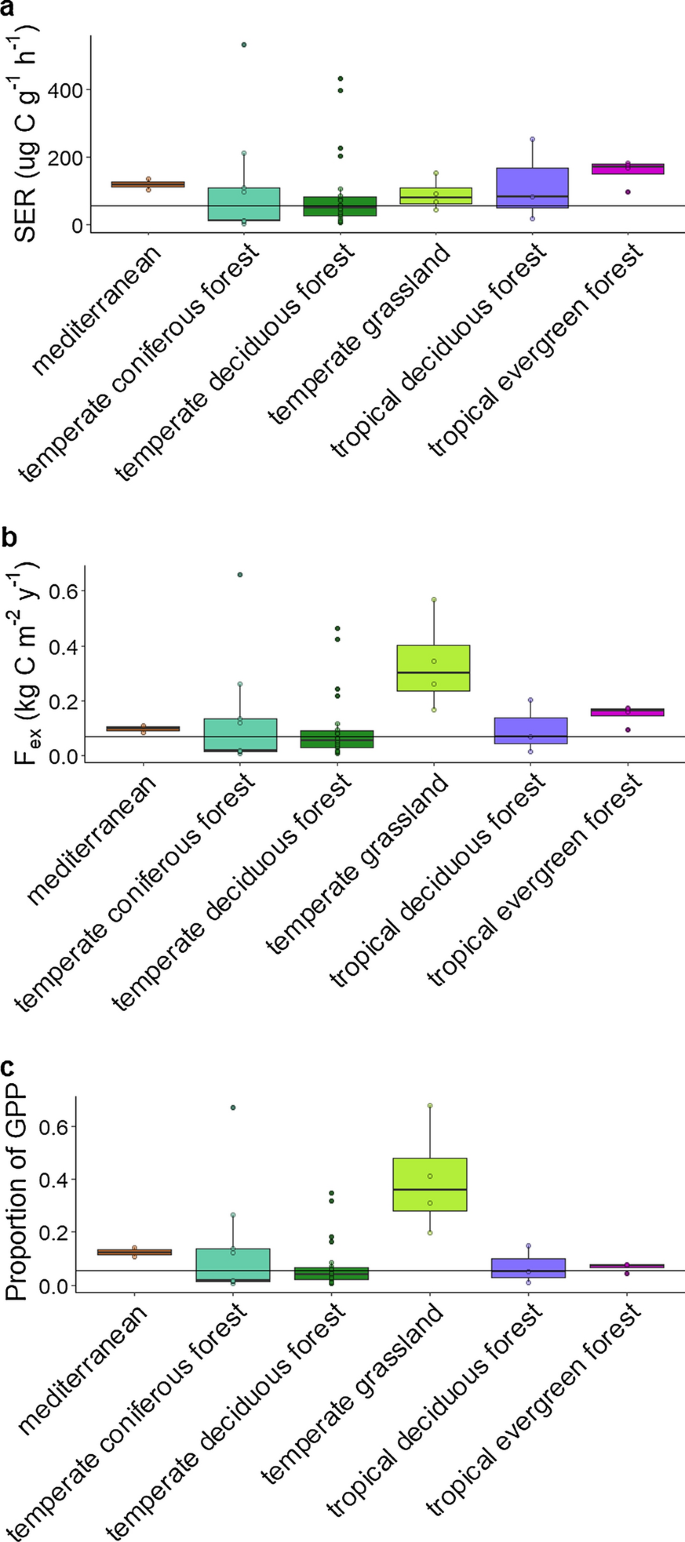 Estimating the global root exudate carbon flux | Biogeochemistry