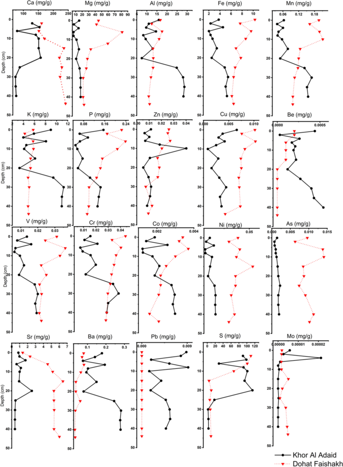 Do coastal salt mudflats (sabkhas) contribute to the blue carbon ...