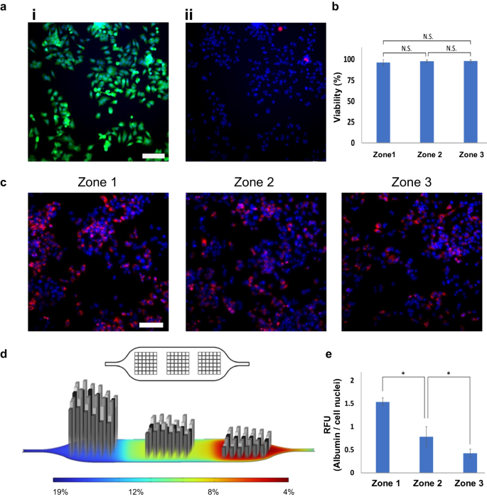 Design, fabrication, and characterization of a user-friendly ...