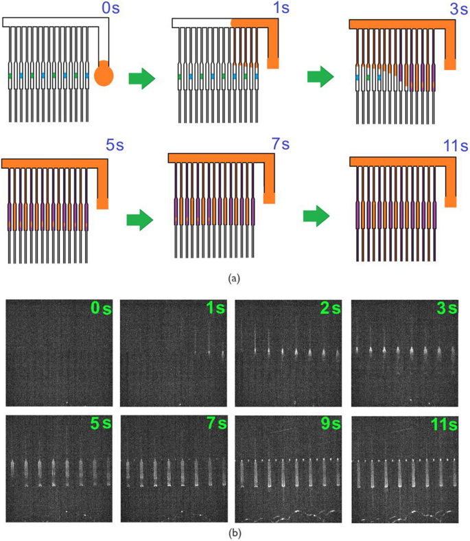 A capillary-driven microfluidic device for performing spatial multiplex PCR | Biomedical ...