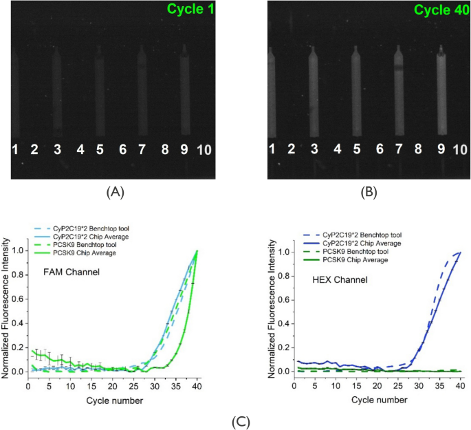 A capillary-driven microfluidic device for performing spatial multiplex ...