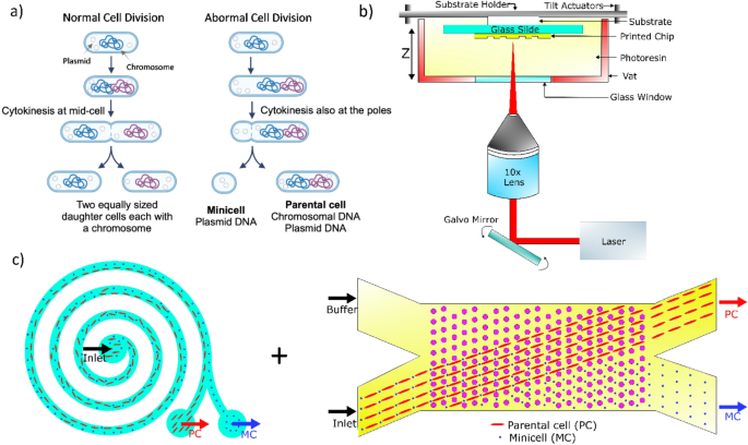 Two-photon lithography-fabricated deterministic lateral displacement ...