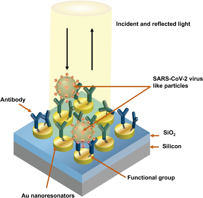 Ultra-low detection of SARS-CoV-2 Virus Like Particles (VLPs) with ...