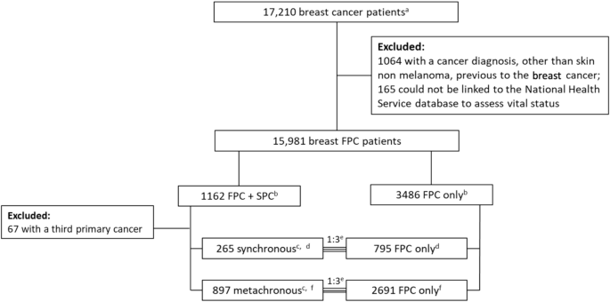 The contribution of second primary cancers to the mortality of patients ...