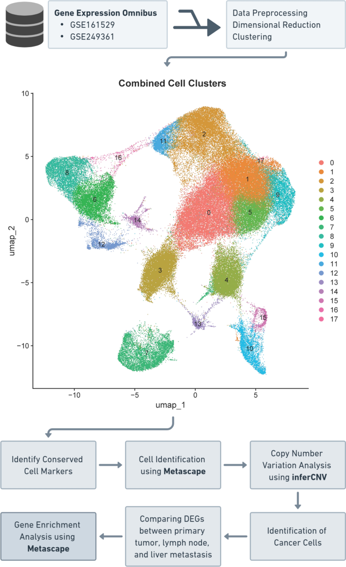 The heterogeneity of breast cancer metastasis: a bioinformatics ...