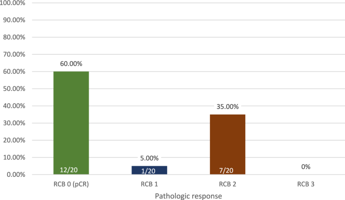 Pathologic complete response rates of patients with ER-low/HER2 ...