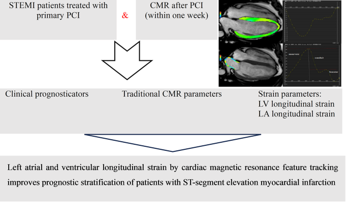 Left atrial and ventricular longitudinal strain by cardiac magnetic ...