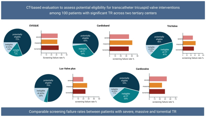 CT assessment of right heart anatomy across tricuspid regurgitation ...