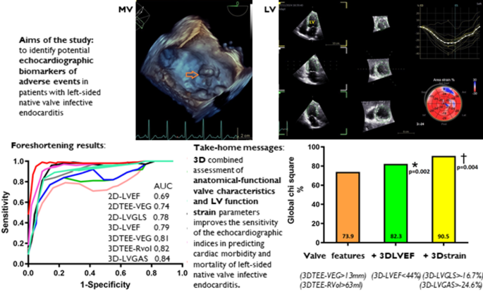 Three-dimensional transesophageal echocardiography and speckle tracking ...