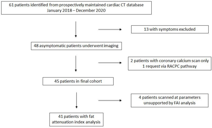 CT coronary angiography in the lipid clinic: a pilot study and ...