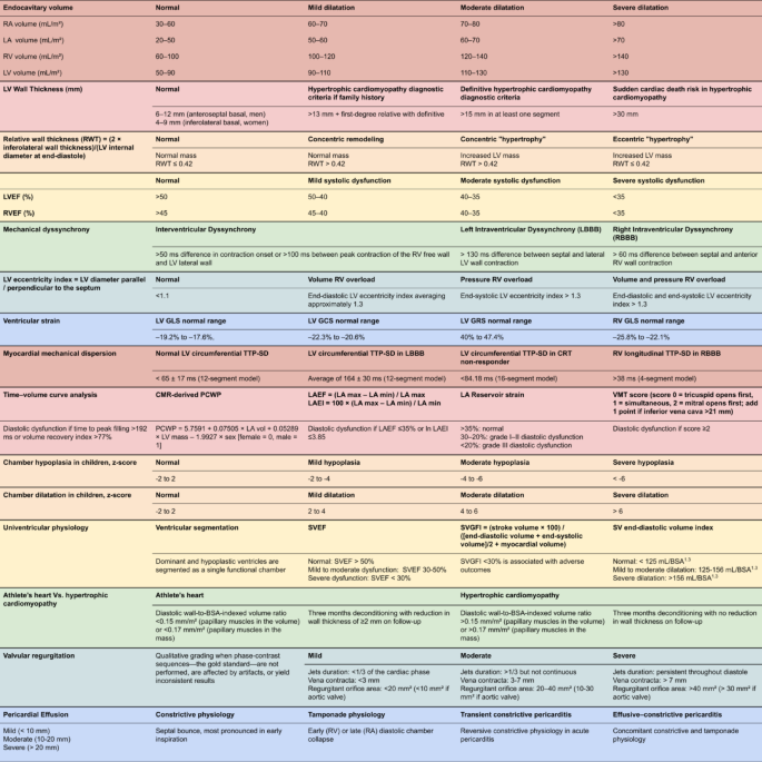 Beyond volumes and ejection fraction: practical insights into cine-CMR ...