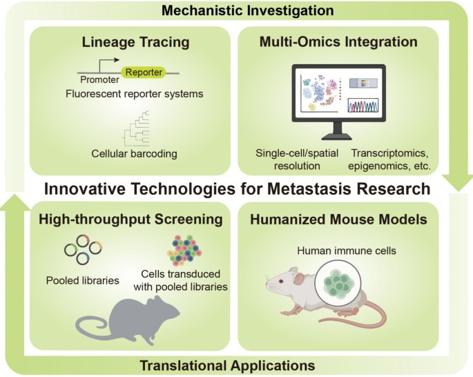 Advancing small cell lung cancer metastasis research: innovations in ...