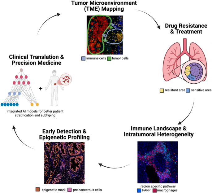 Spatial omics: applications and utility in profiling the tumor ...