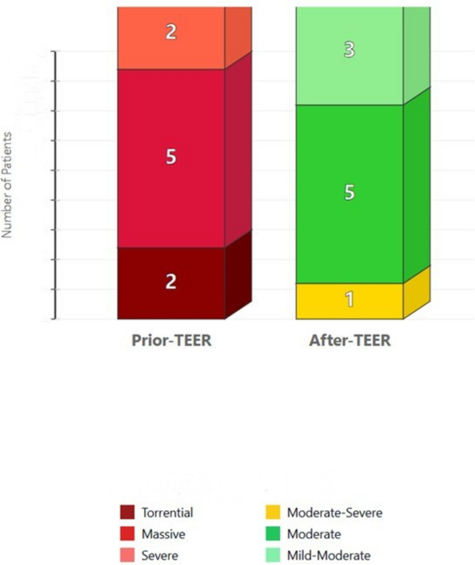 Efficacy and Safety of TriClip Procedure in Patients with Severe ...