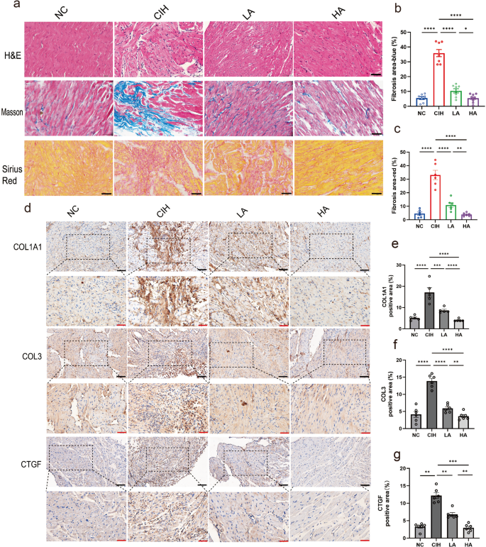 Alamandine Attenuates Hypoxia-Induced Atrial Fibrosis and Atrial ...