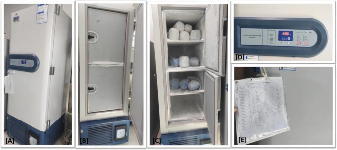 Establishing a bone bank within a hospital setting in India: early ...