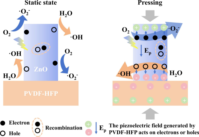 C-Axis Oriented ZnO/PVDF-HFP Porous Membranes for Efficient Piezo ...