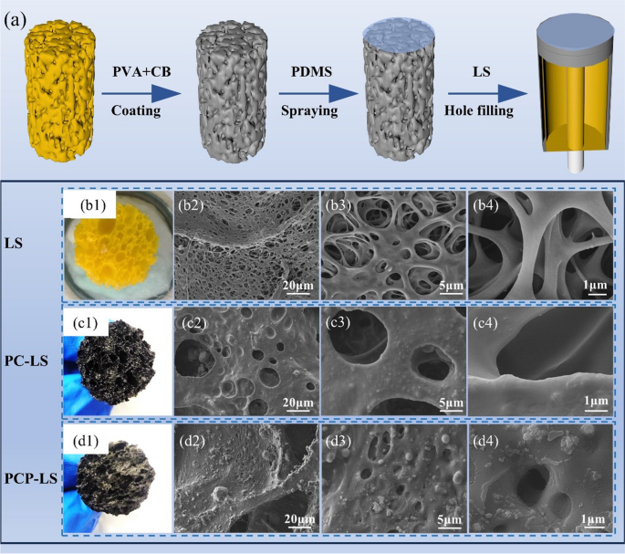 Sustainable lignocellulosic-based sponge with Janus salt-tolerant ...