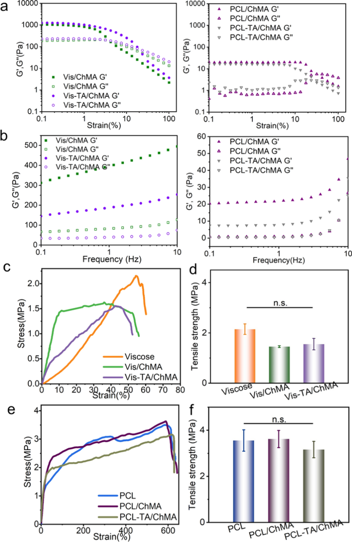 Antibacterial methacrylamide chitosan-modified viscose/poly(ε ...