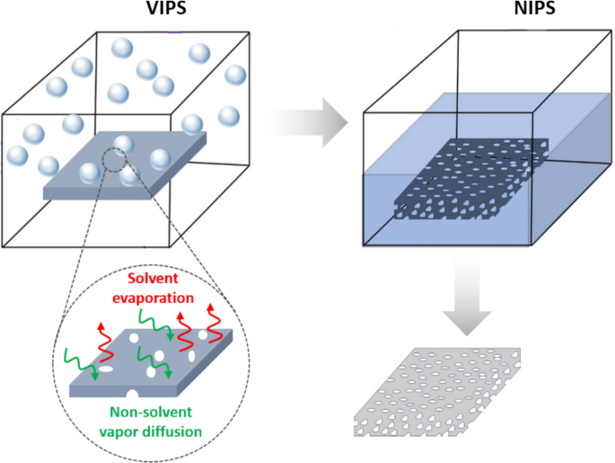 Sustainable development of cellulose acetate microfiltration membranes ...