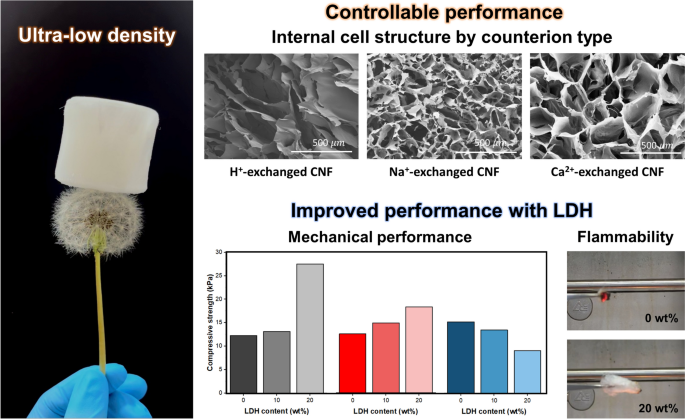 Counterion exchange in cellulose nanofiber and layered double hydroxide ...