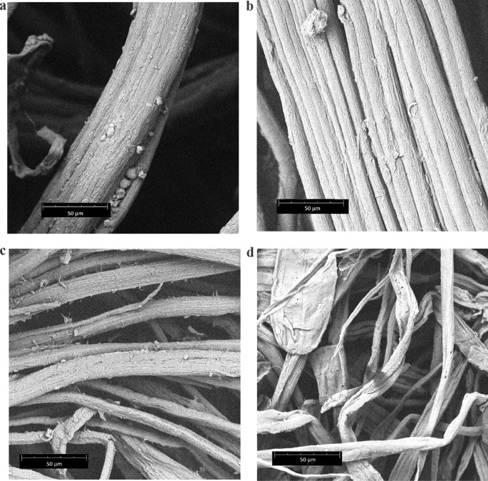 Cellulose nanocrystal extraction from okra and hemp fibers | Cellulose