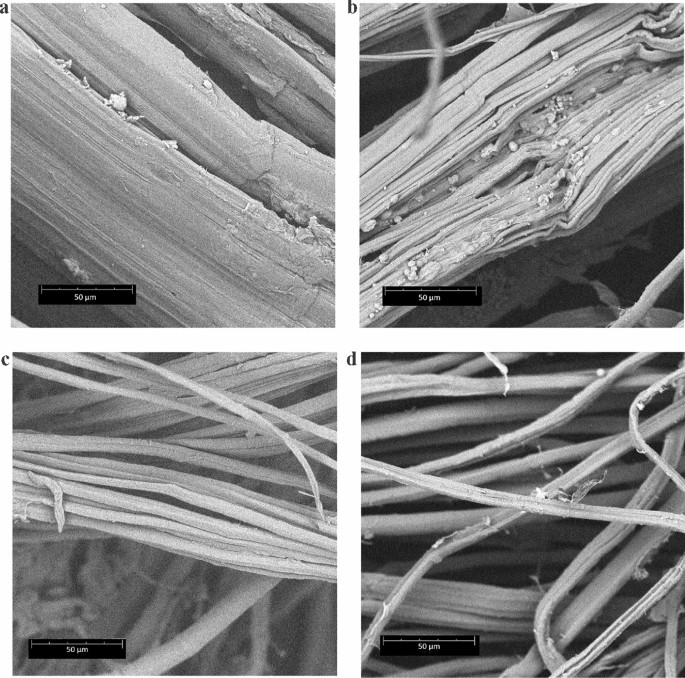 Cellulose nanocrystal extraction from okra and hemp fibers | Cellulose