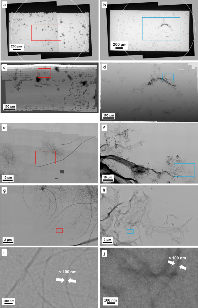 Large-area TEM imaging for characterization of fibrillated cellulose ...