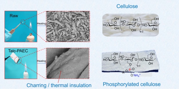 Modification of cellulose fibers with phytic acid and its application ...