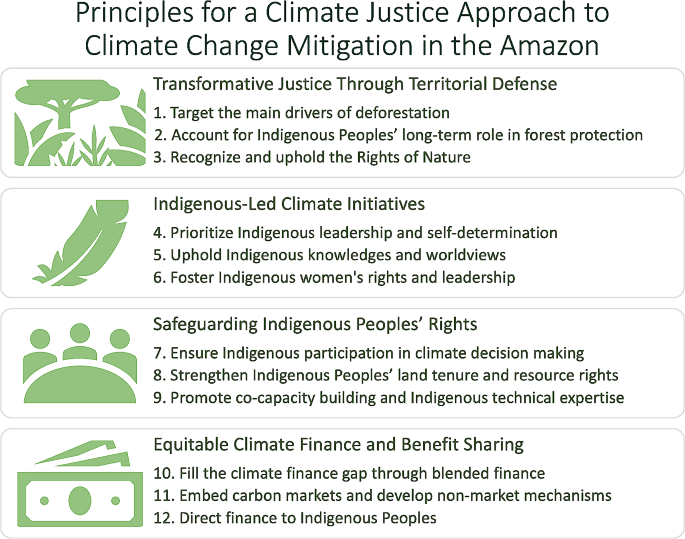 Climate justice, forests, and Indigenous Peoples: toward an alternative ...